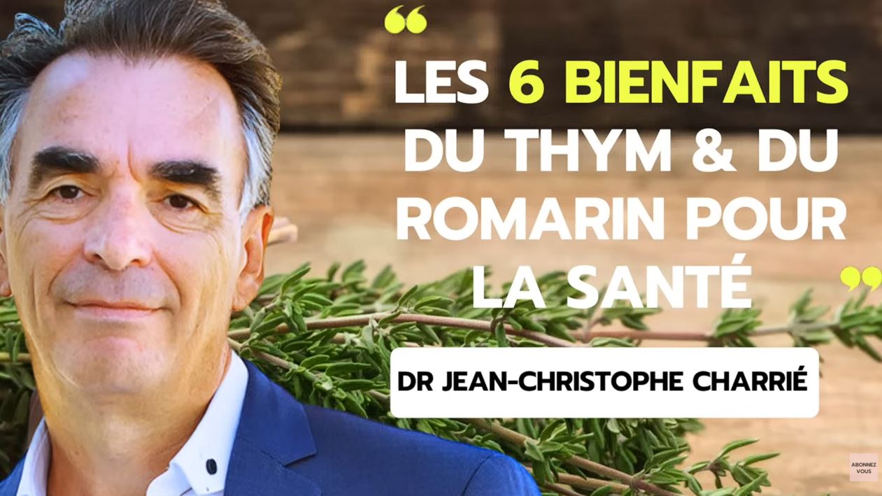 Les bienfaits du thym et du romarin : deux piliers de la phytothérapie ...