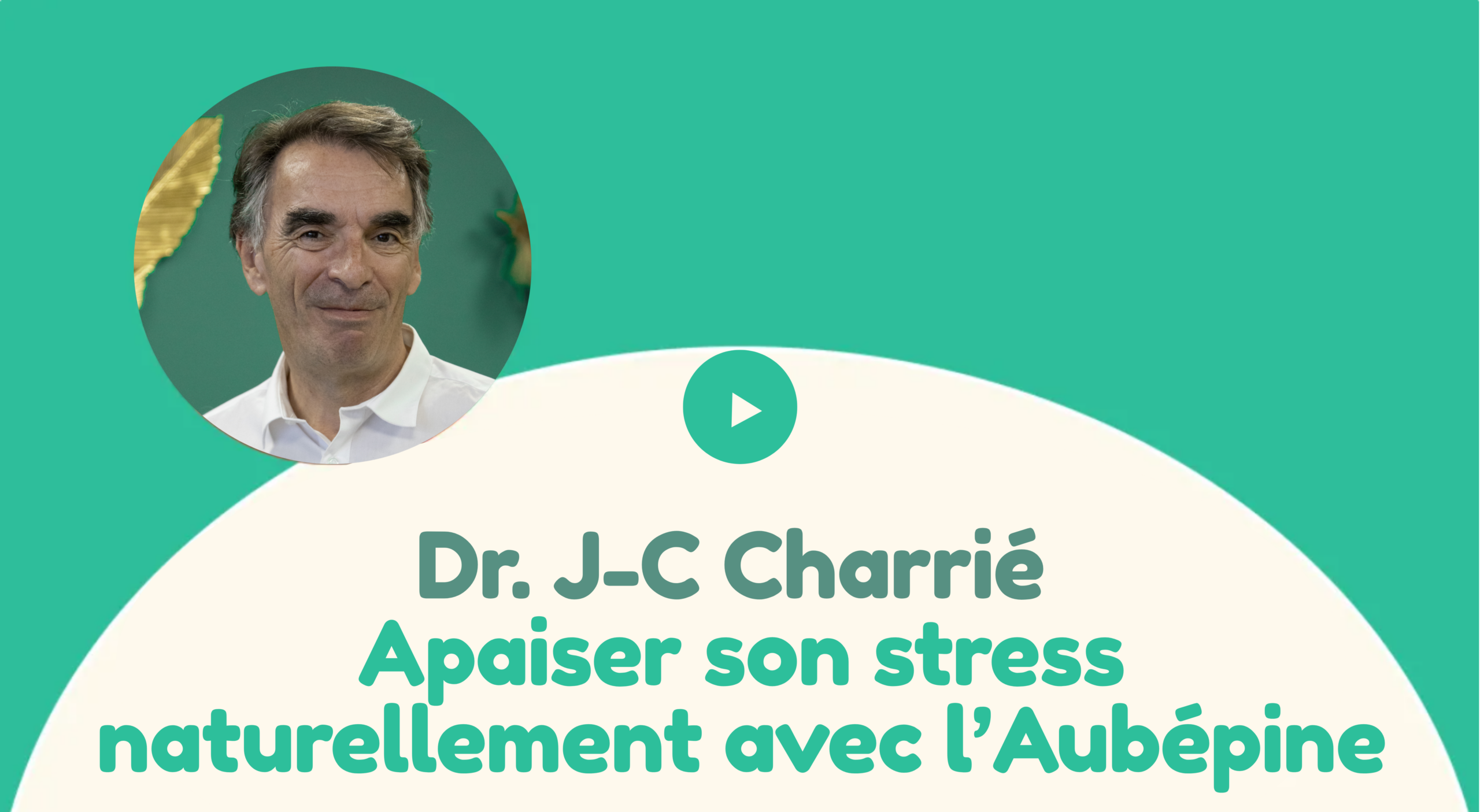 L’Aubépine : la plante du cœur et de l’équilibre émotionnel | Institut ...